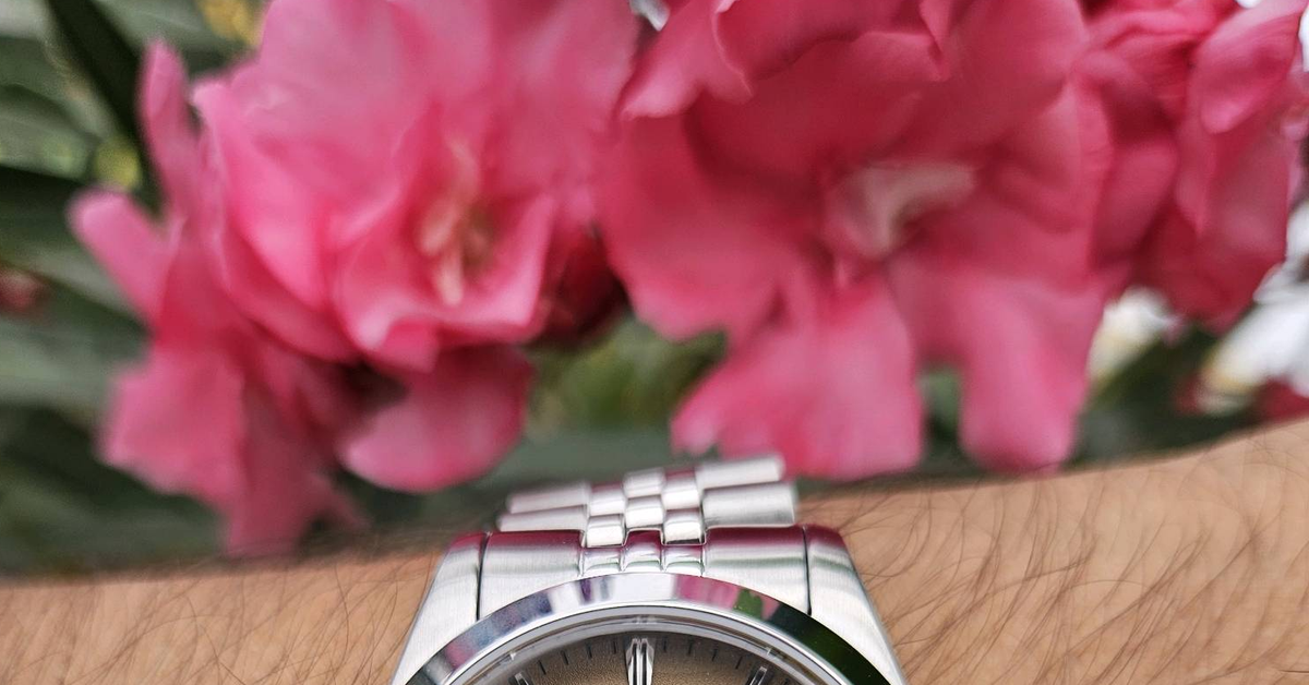 Last NWA of 2024: A Surprise from My Wife 🎁⌚ Addisdive Automatic ...