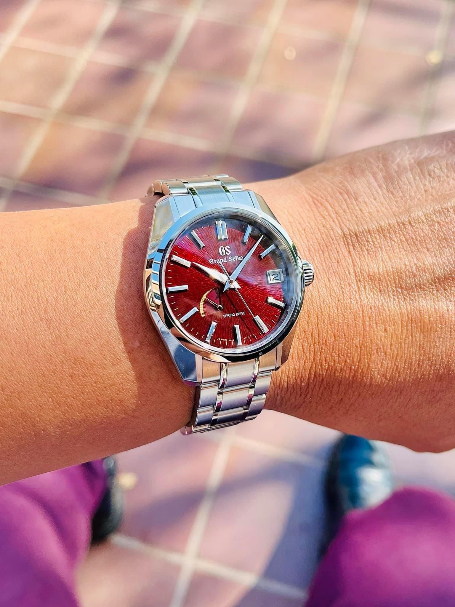 SBGA499: $5800 Elegance line for 2024 (20th anniversary) | WatchCrunch