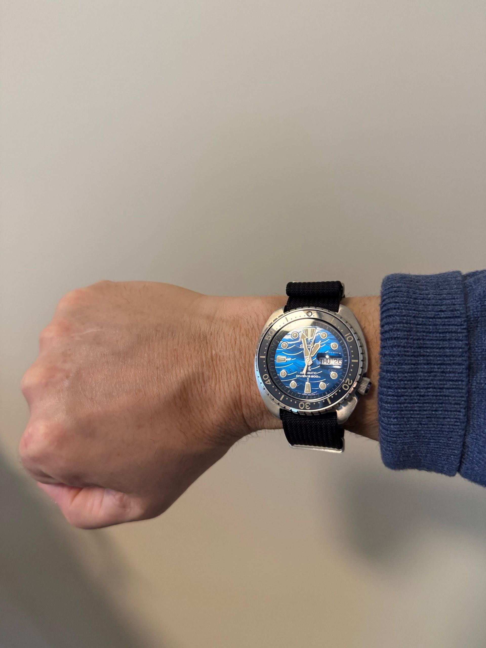 Thursday Turtle Time! | WatchCrunch