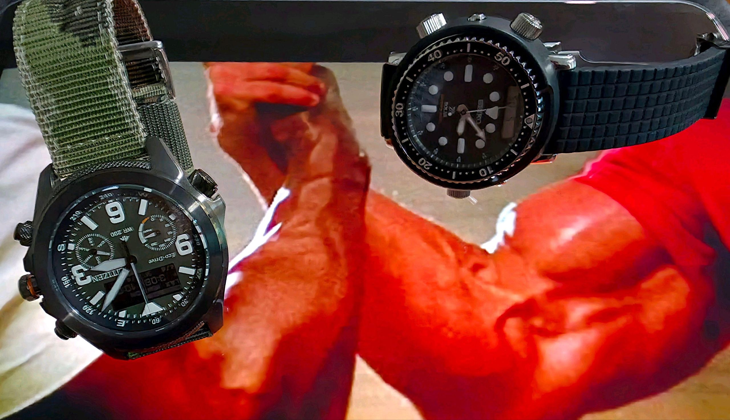 The Ultimate Action Hero Face-Off: "The Arnie" vs. "The Predator ...