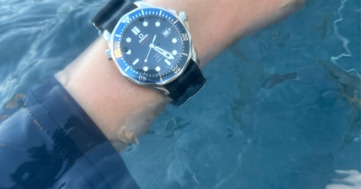 I went to a pool... | WatchCrunch