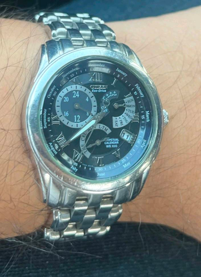 Citizen Eco-Drive E870 | WatchCrunch