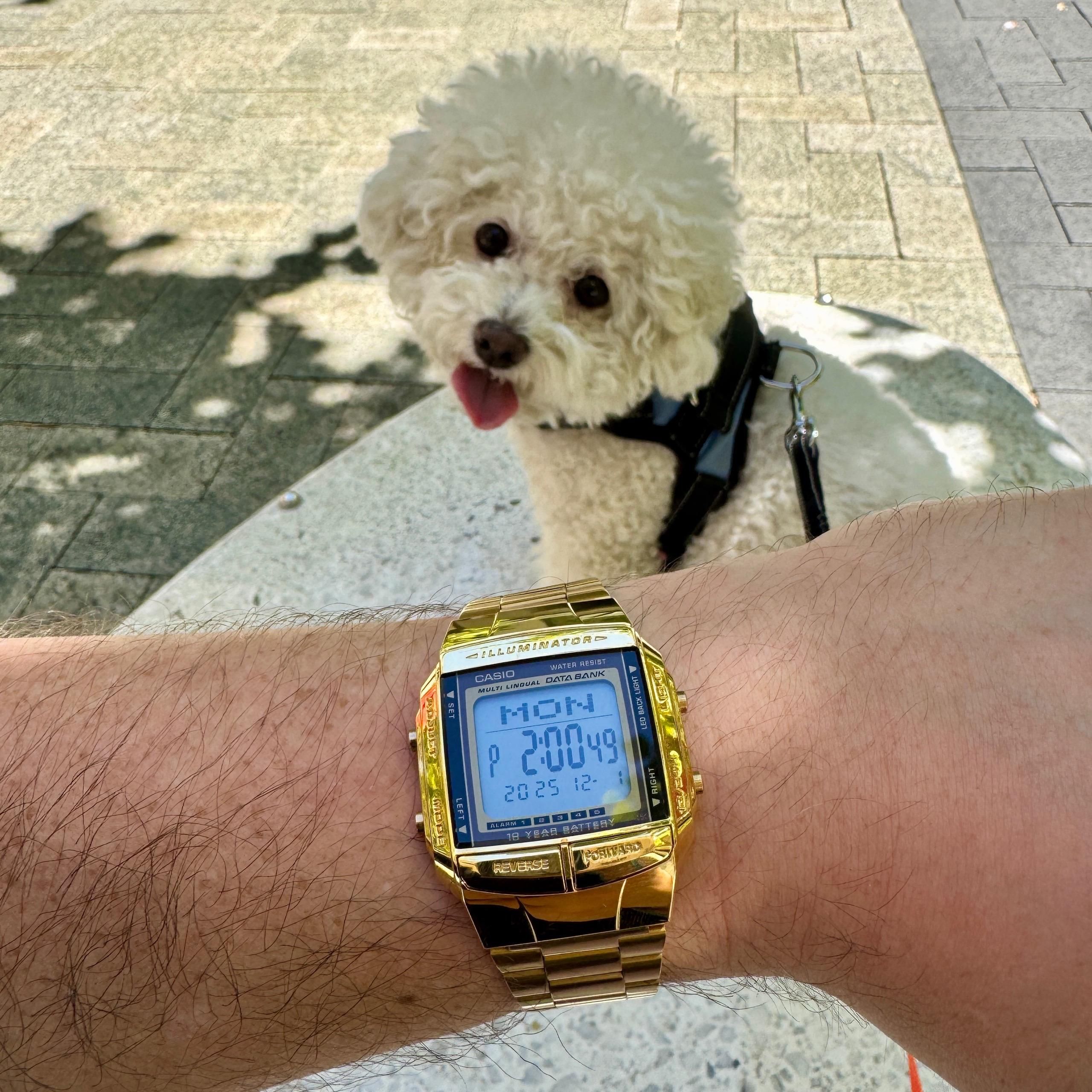 Casio DB-360 | WatchCrunch