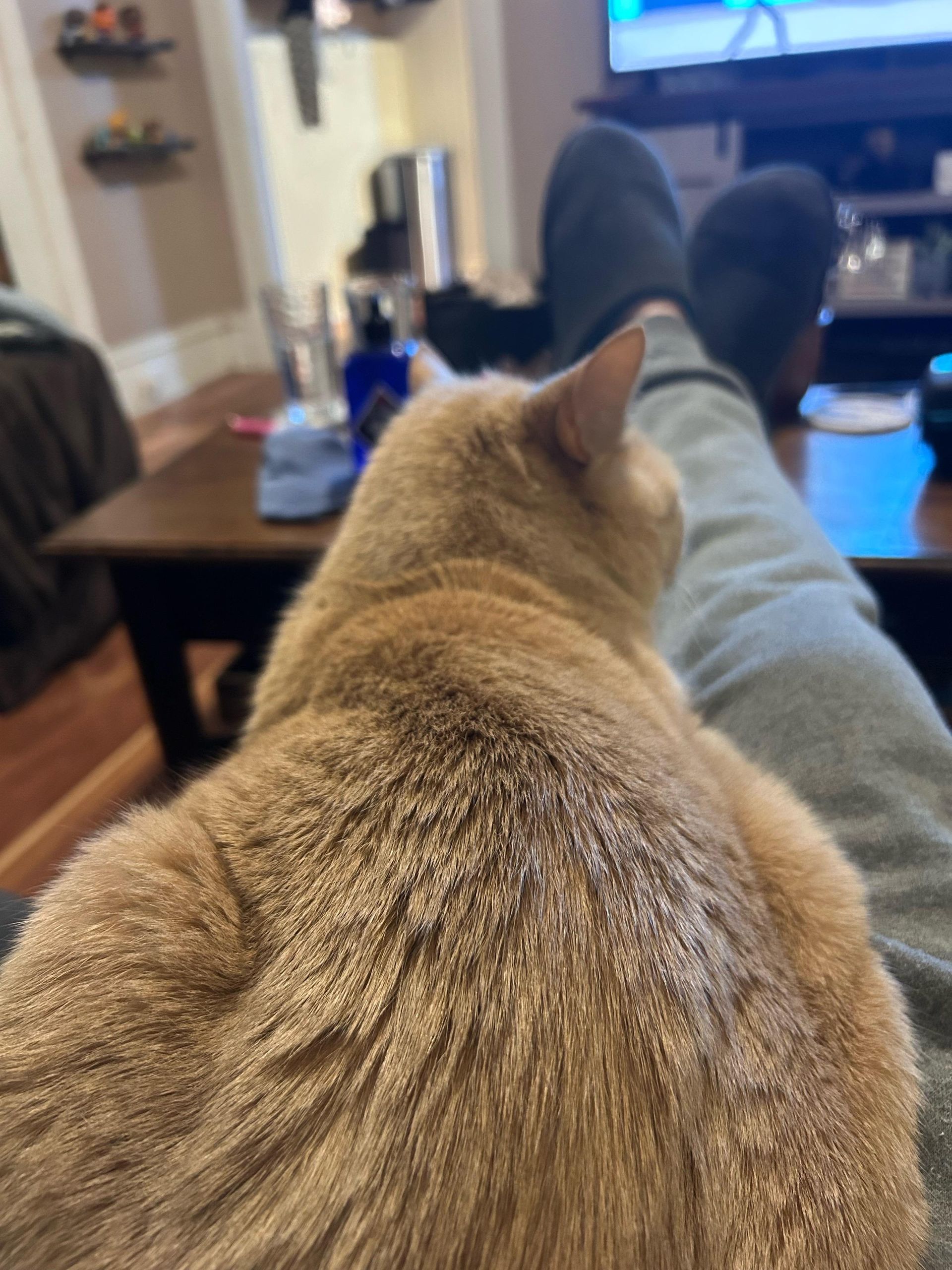 Wristcheck January 14, 2026 | WatchCrunch