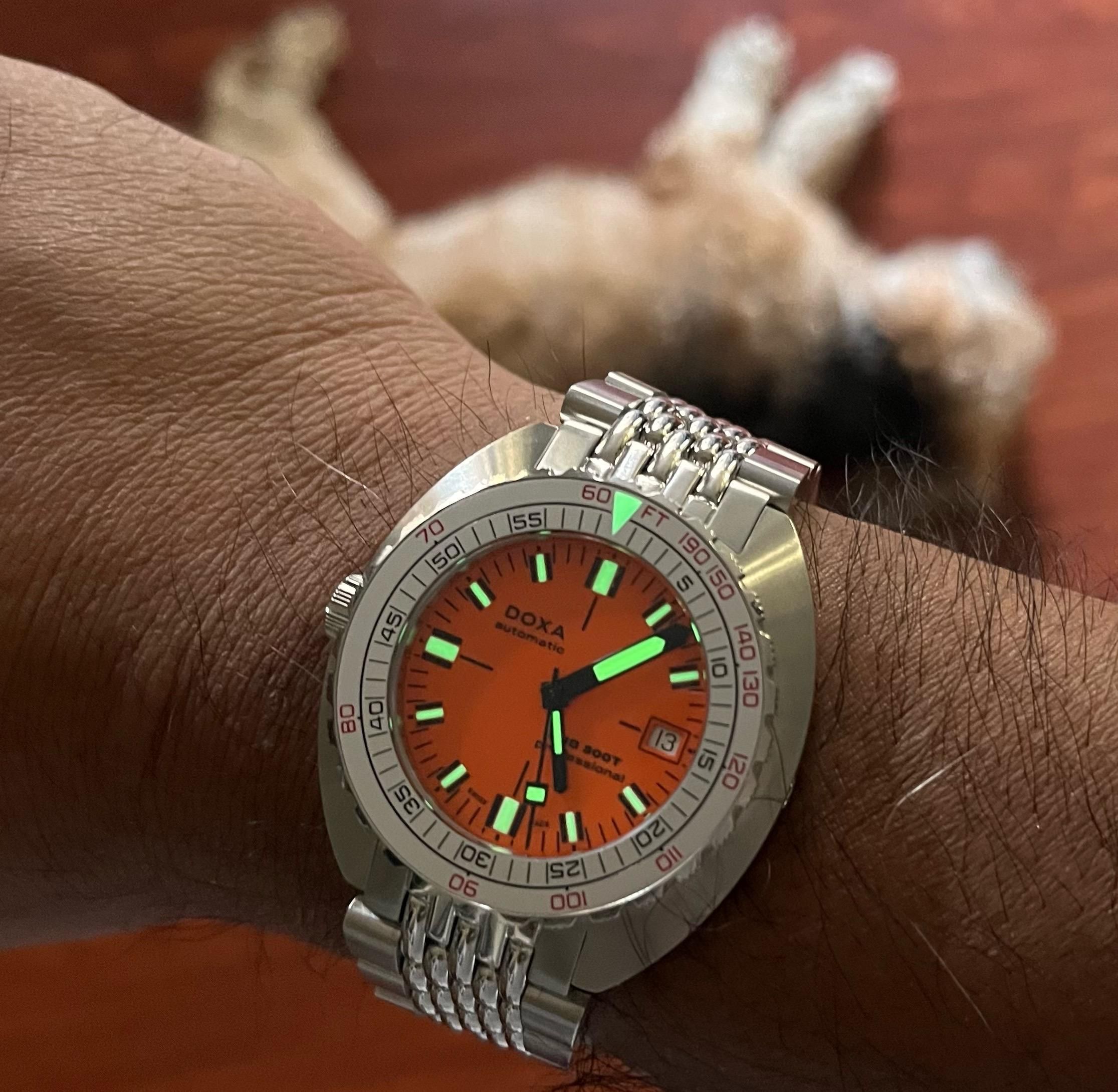 NWA Doxa Aristera 300T Professional | WatchCrunch