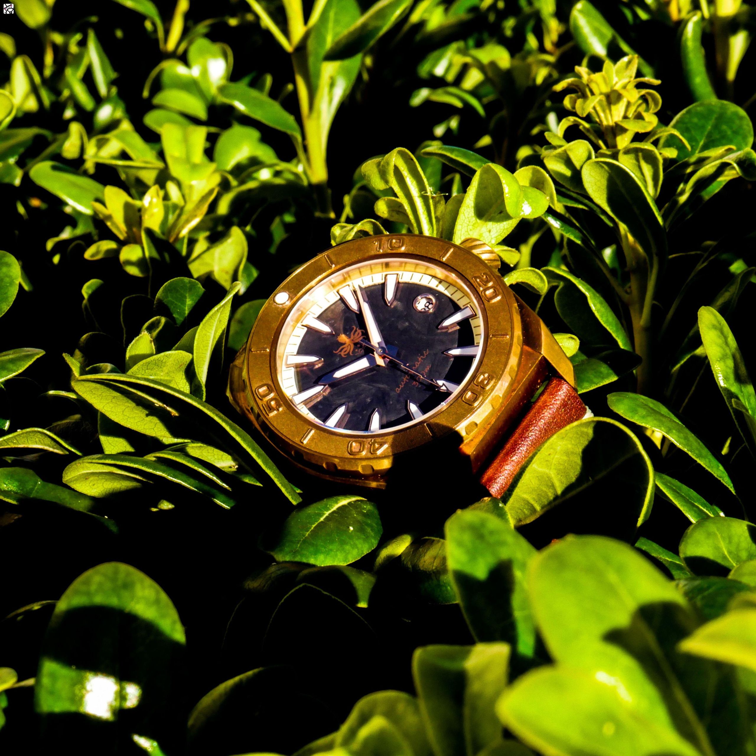 Phoibos Proteus Bronze (forged carbon dial) | WatchCrunch
