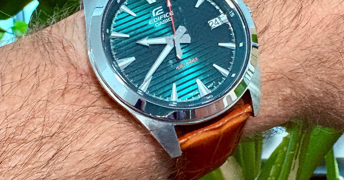 Black or brown? Hmmmm…. | WatchCrunch