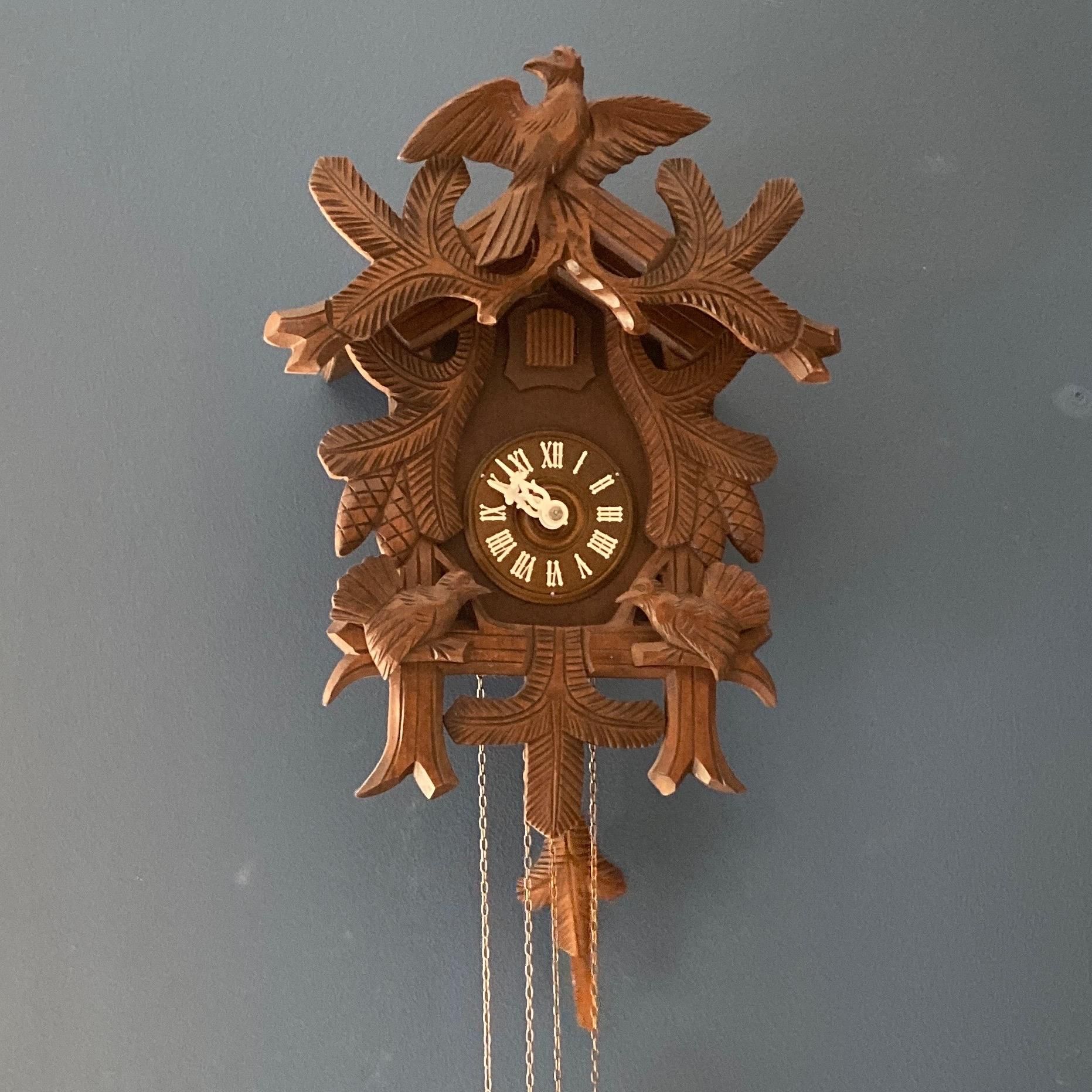 an_ordinary_watch_guy | WatchCrunch