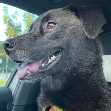 koonana | WatchCrunch