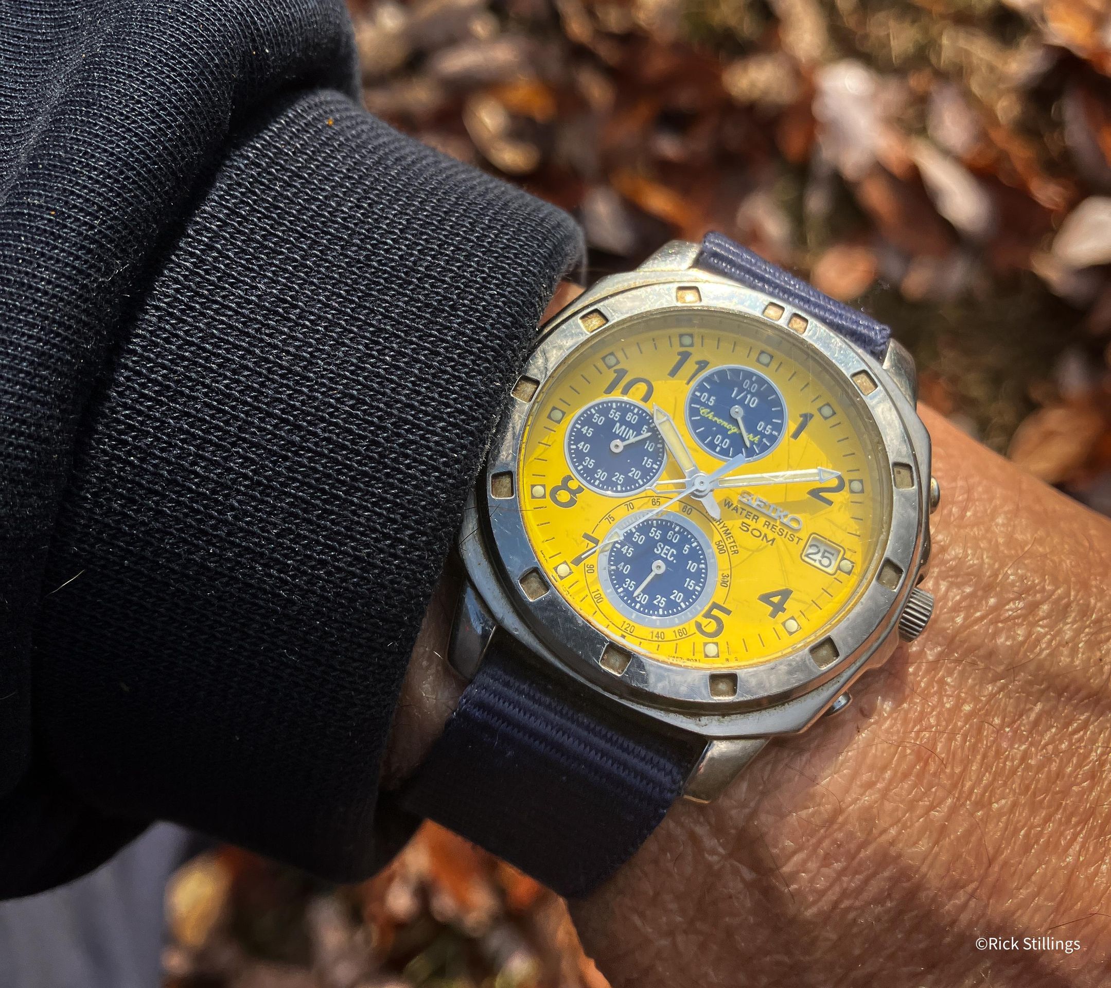 Wristcheck December 25, 2025 | WatchCrunch