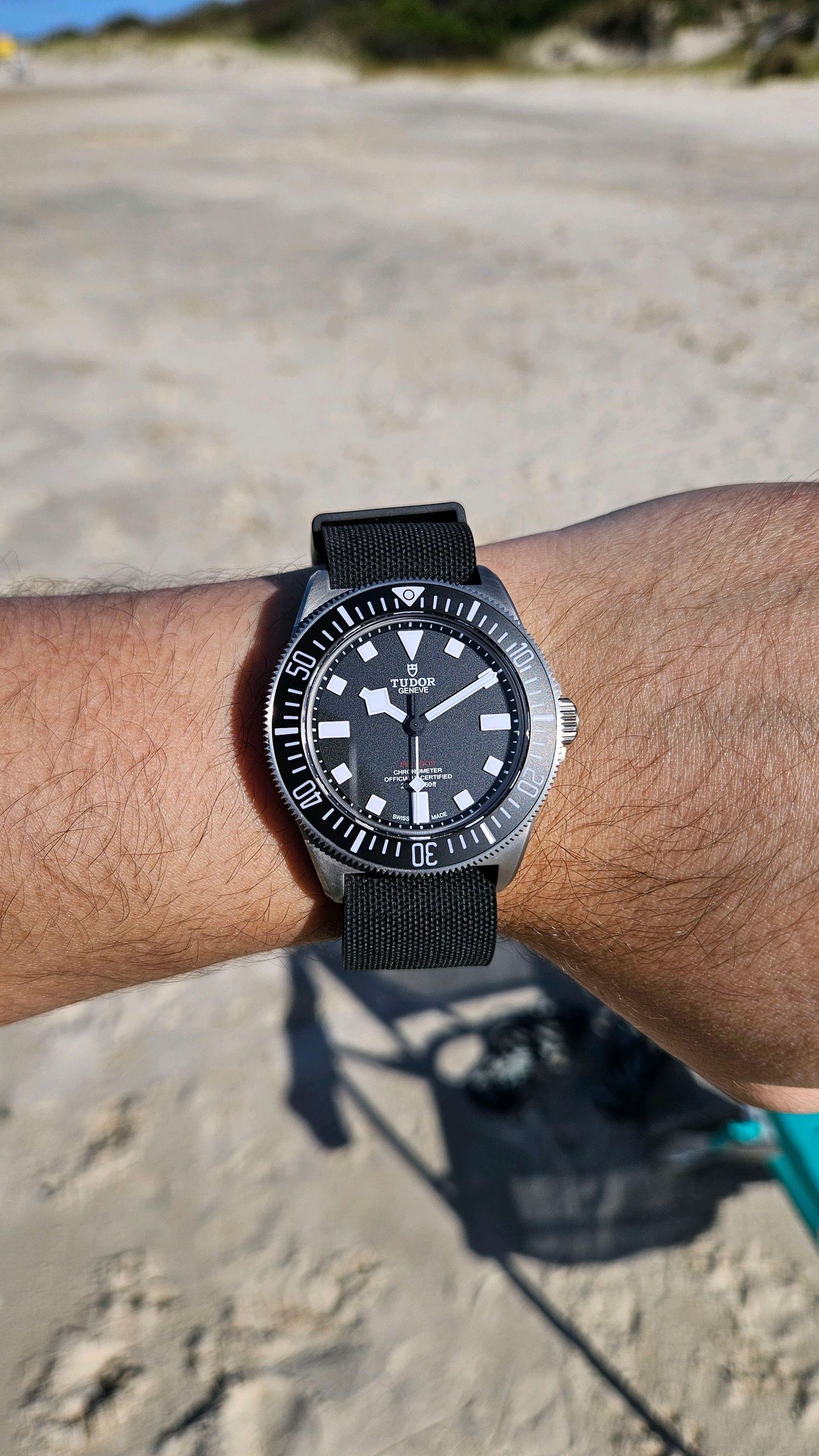Tudor Pelagos FXD | WatchCrunch