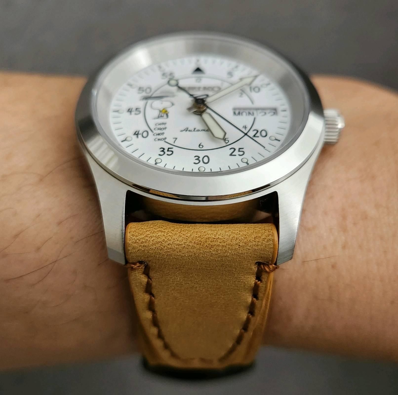 New mod project! (Snoopy Field) | WatchCrunch