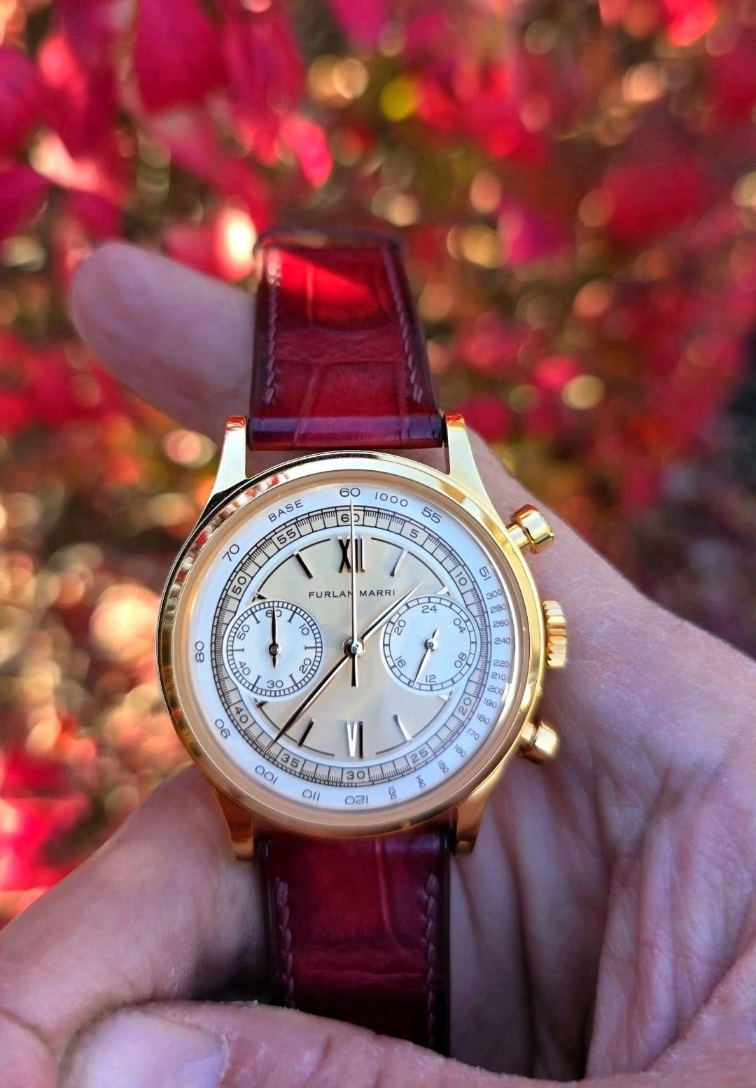 Is Watch Crunch Limiting Post Reach??? | WatchCrunch