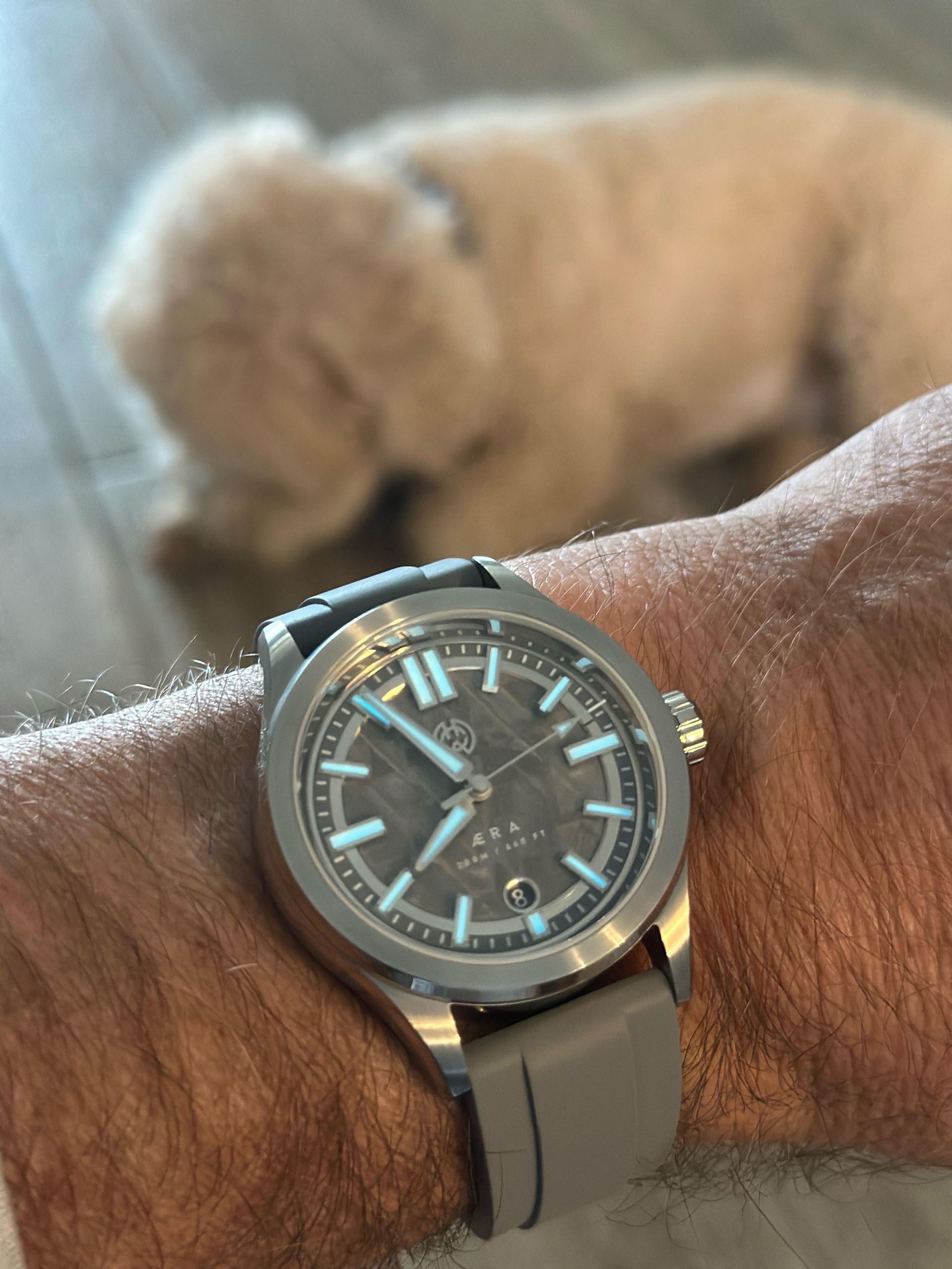Wristcheck February 8, 2025 | WatchCrunch