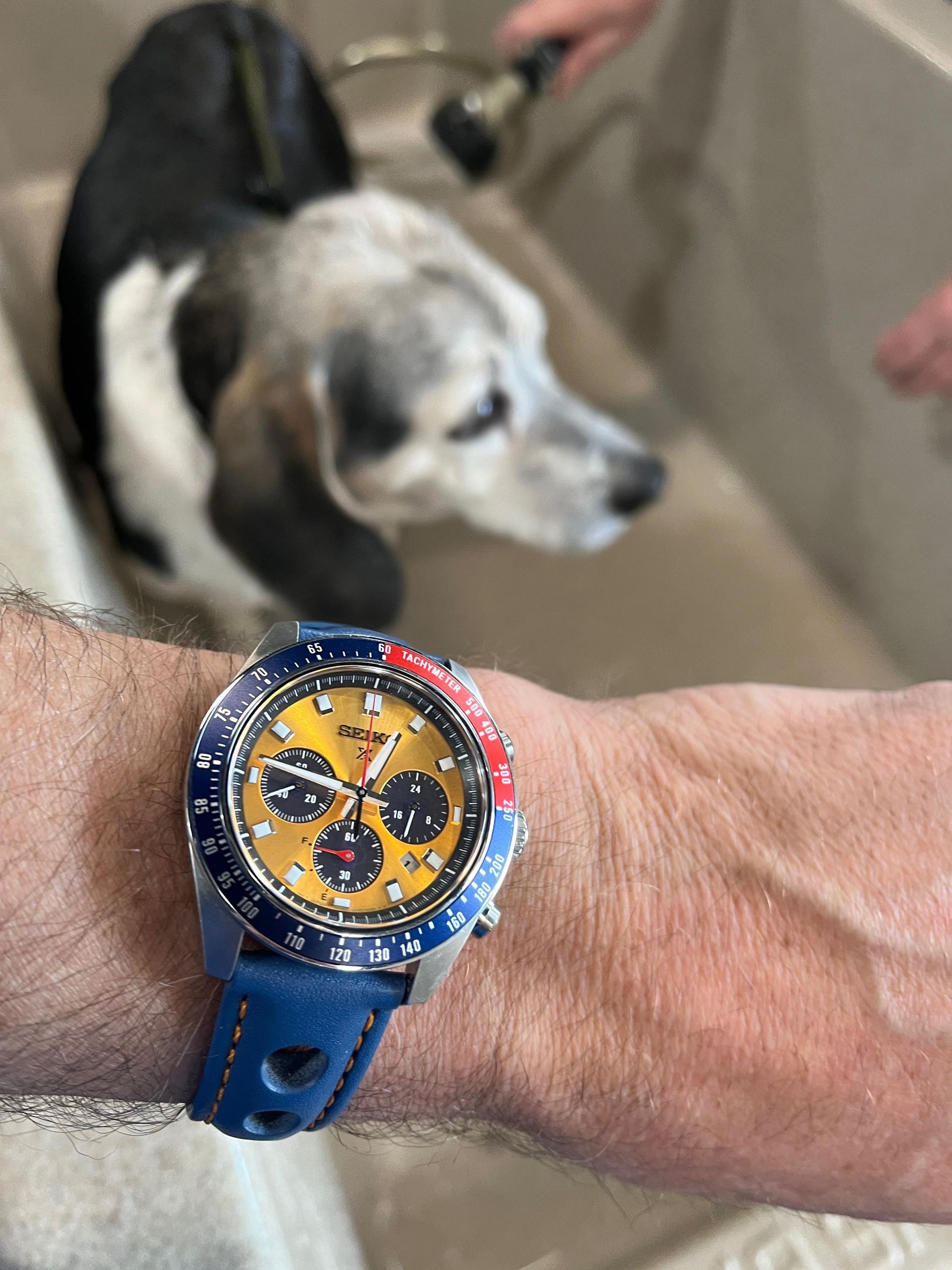 Wristcheck June 1, 2025 | WatchCrunch