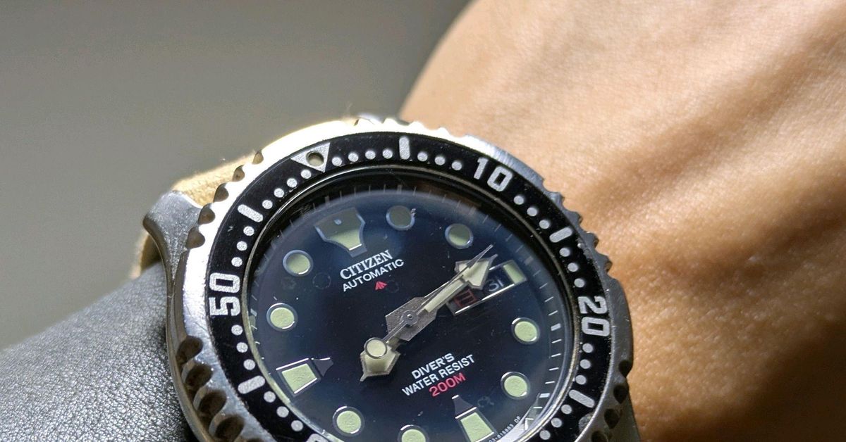 Citizen Promaster Diver | WatchCrunch