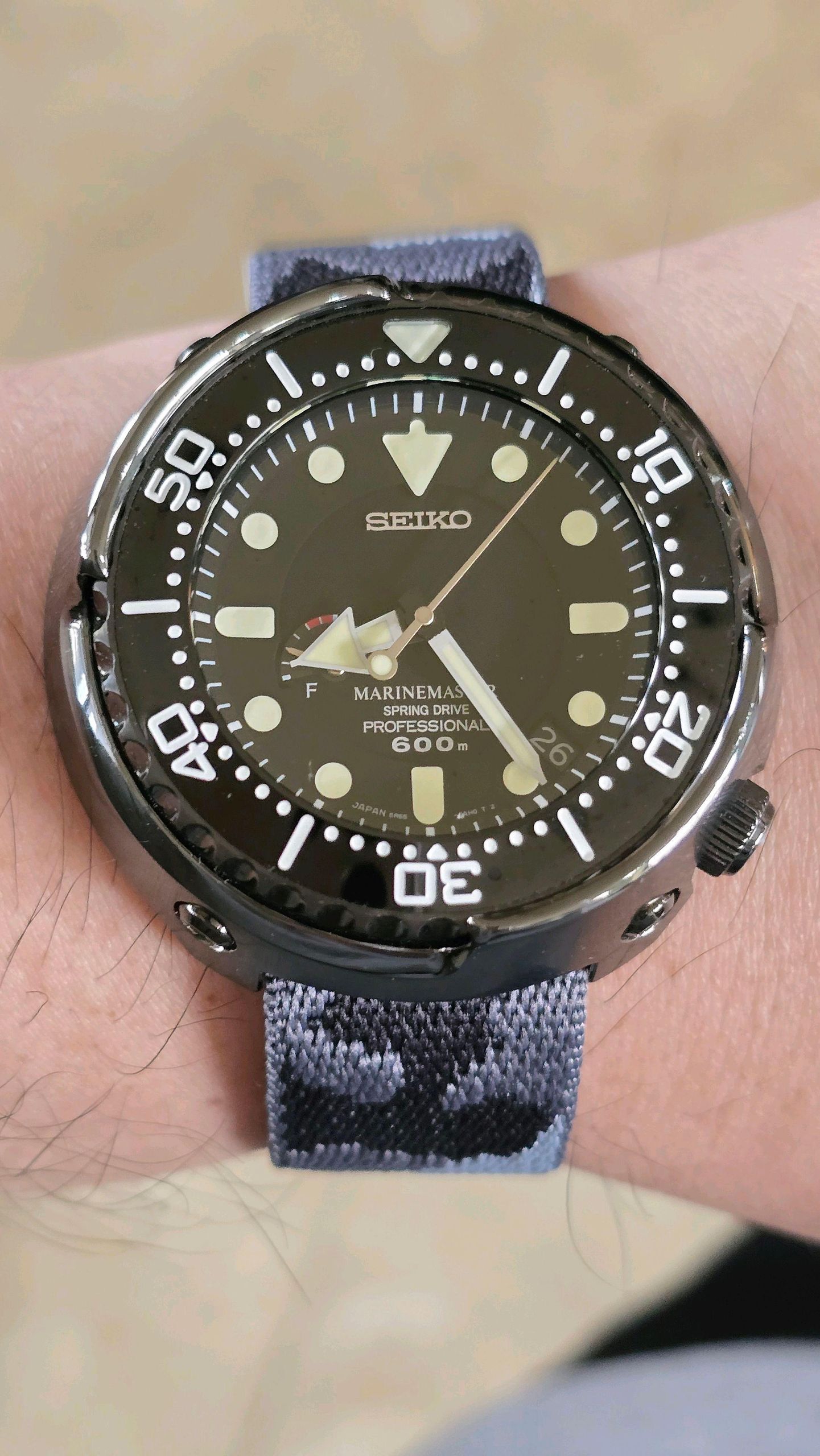 Seiko MarineMaster 600M Spring Drive | WatchCrunch
