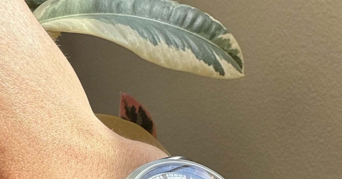 Forstner Bracelet for the Railmaster: A Quick Review | WatchCrunch