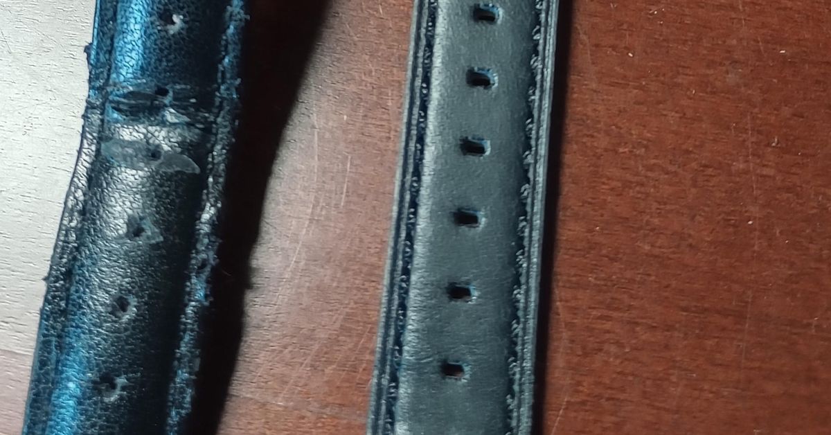 A Much Needed Strap Change | WatchCrunch