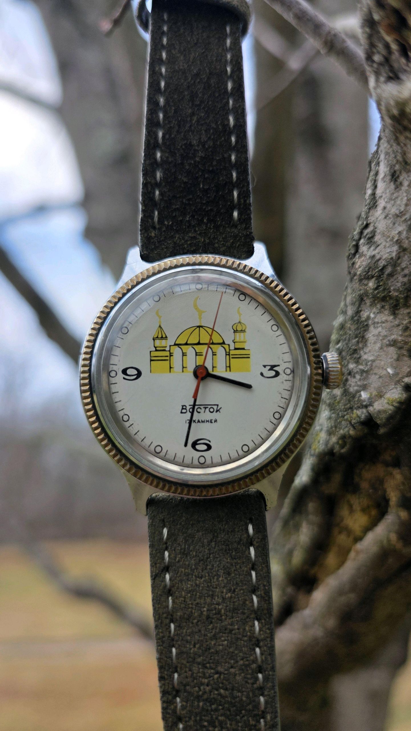 Is Watch Crunch Limiting Post Reach??? | WatchCrunch