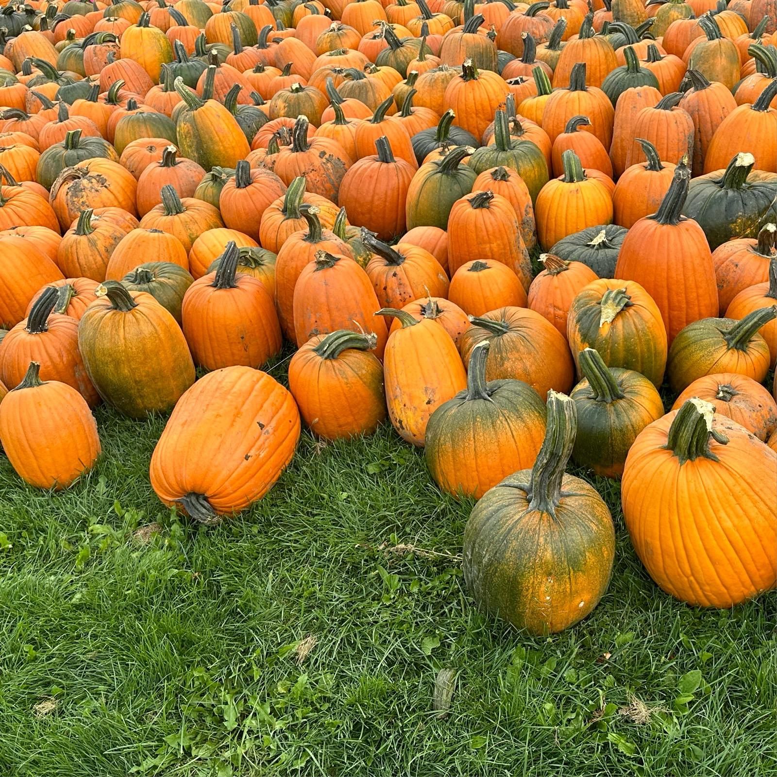 bongcloud | WatchCrunch