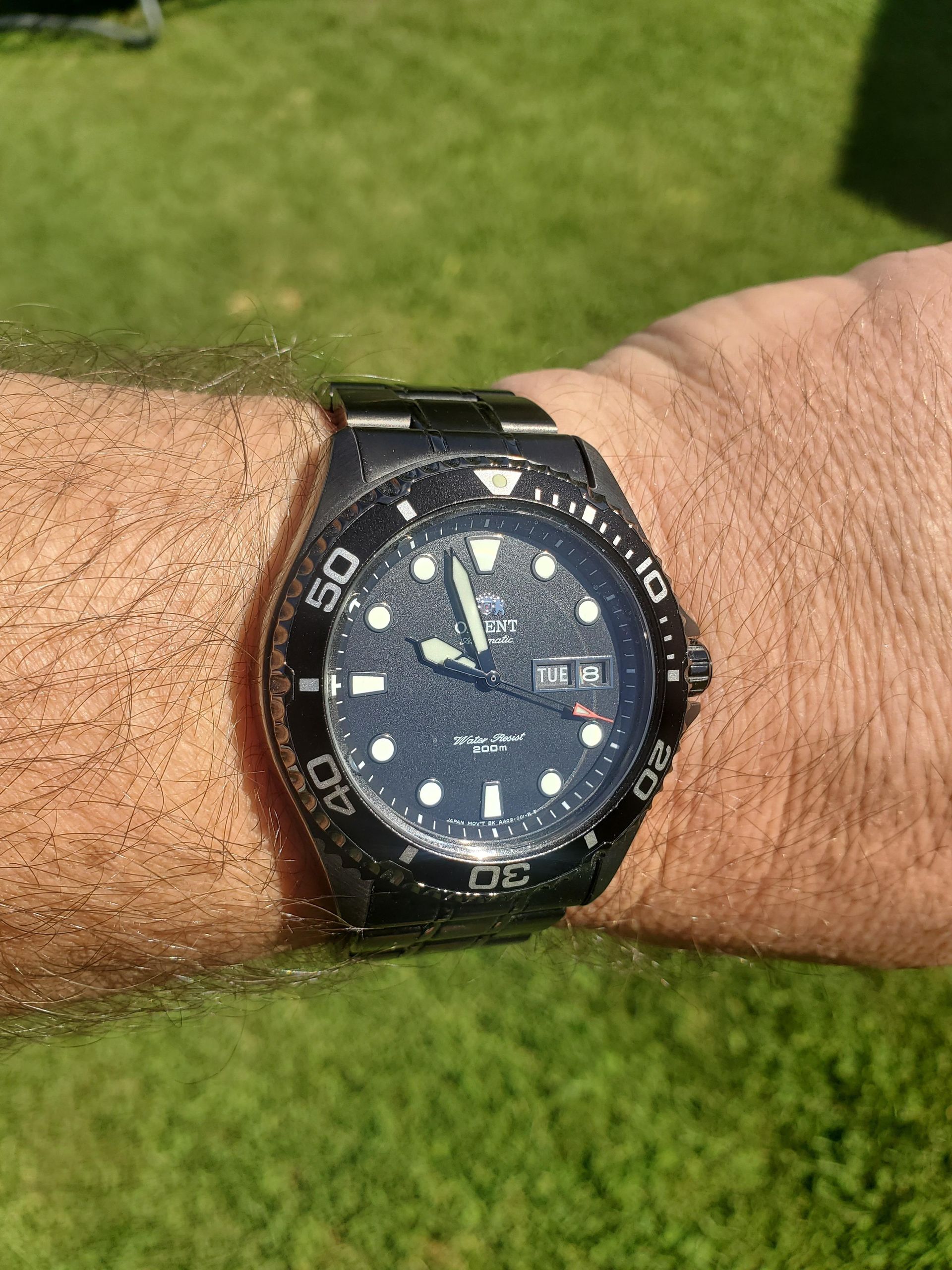 Orient Ray Raven | WatchCrunch