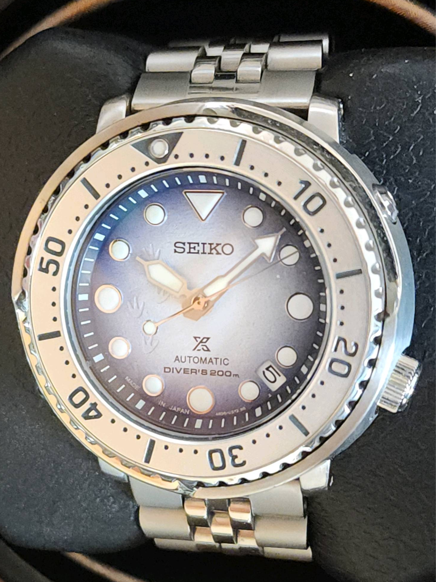 Seiko Penguin | WatchCrunch