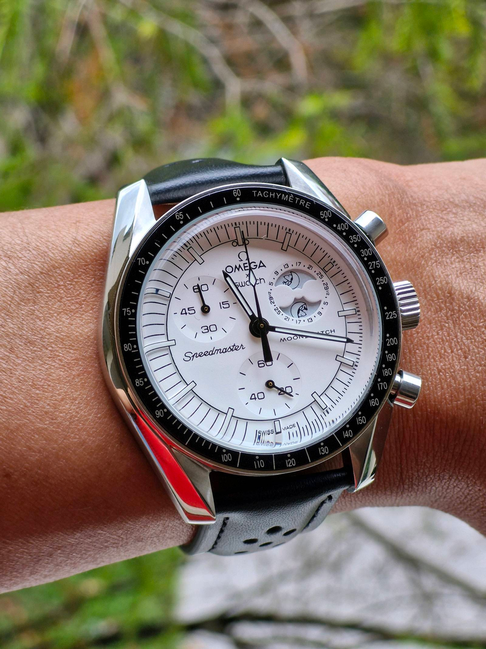 Moonswatch Metal Case | WatchCrunch