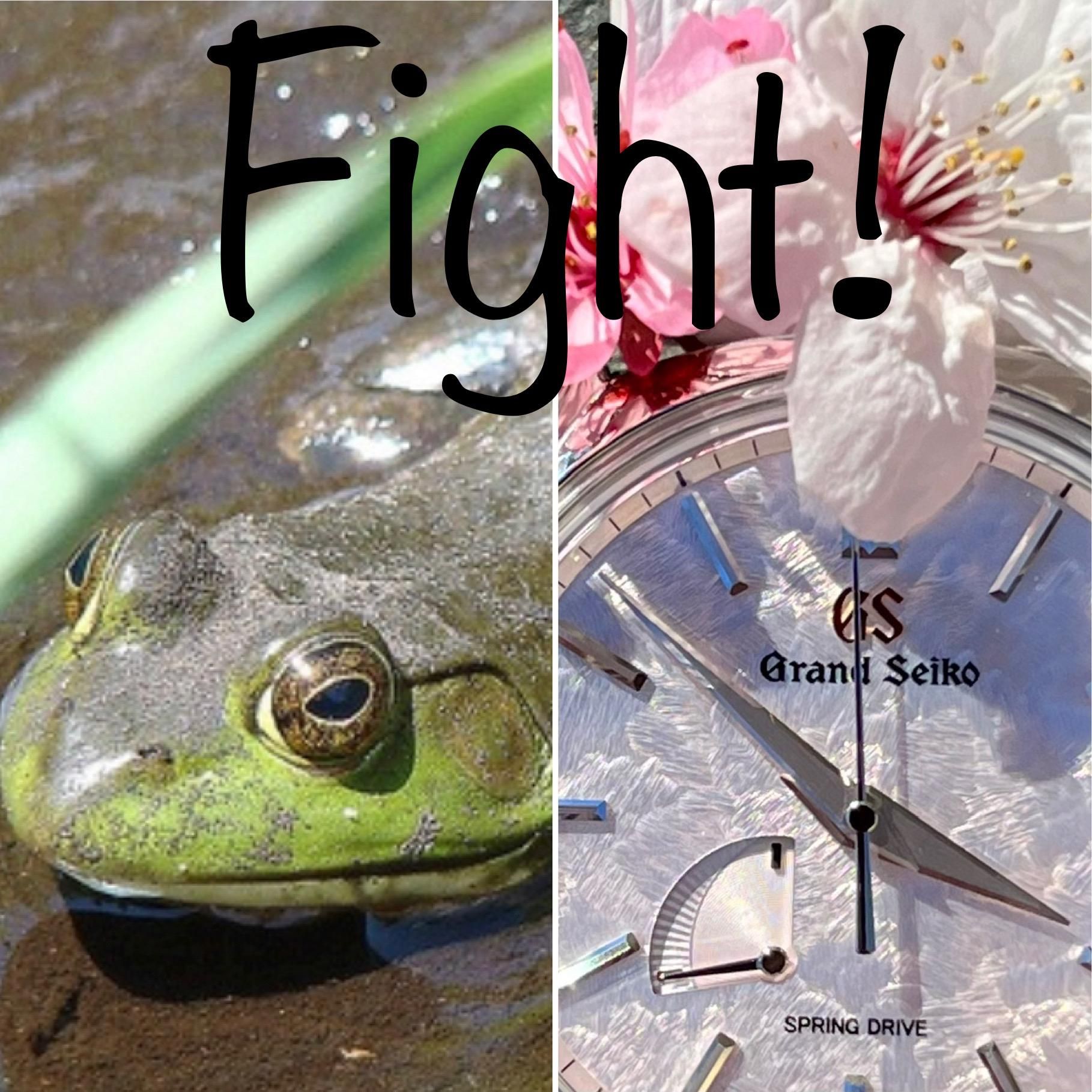 Gshock Mud Frogmaster, Rust edition, VS the GS Sakura 413 #1wc ...