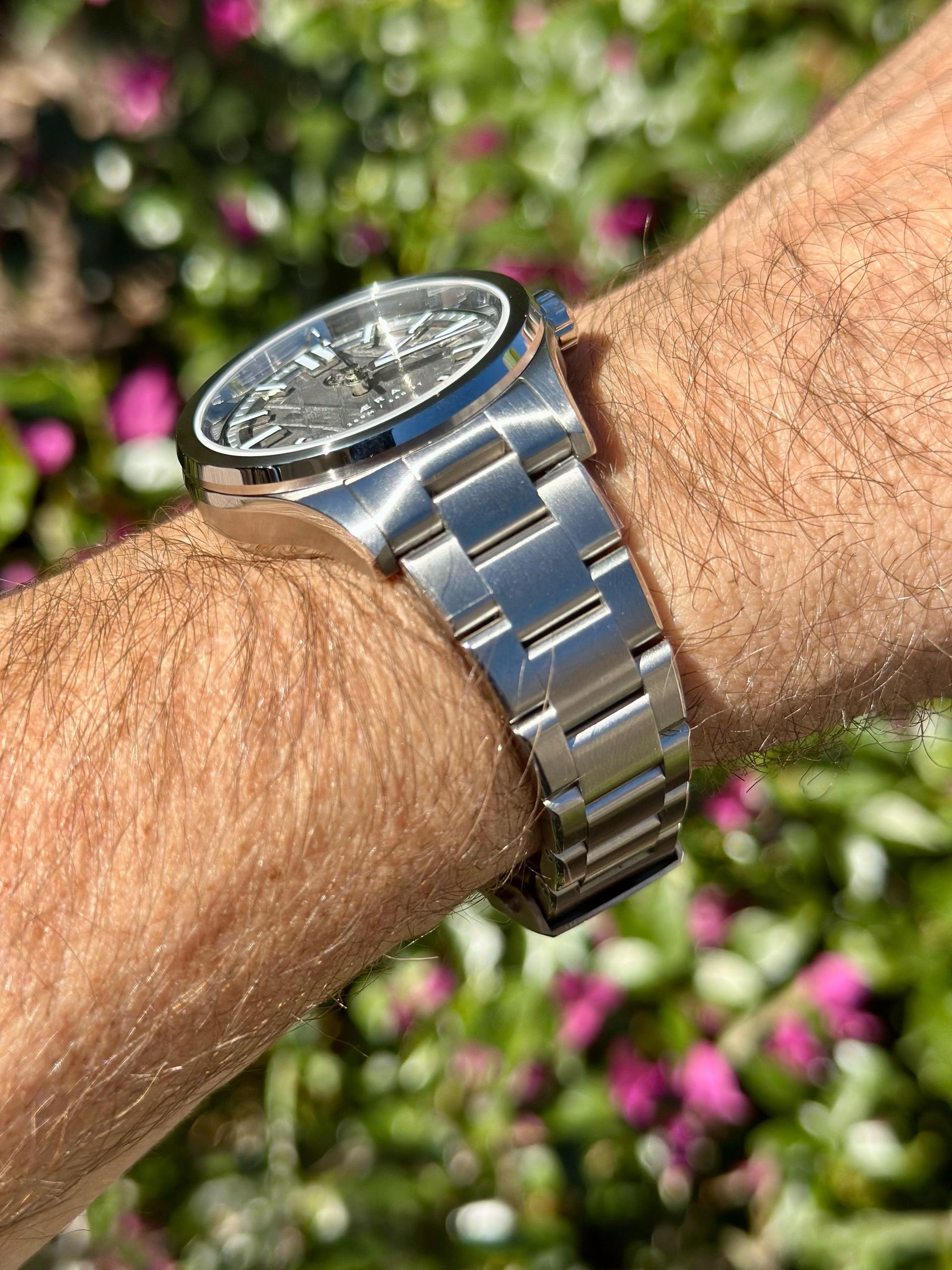 Henry Archer Aera Meteorite Lunaris | WatchCrunch