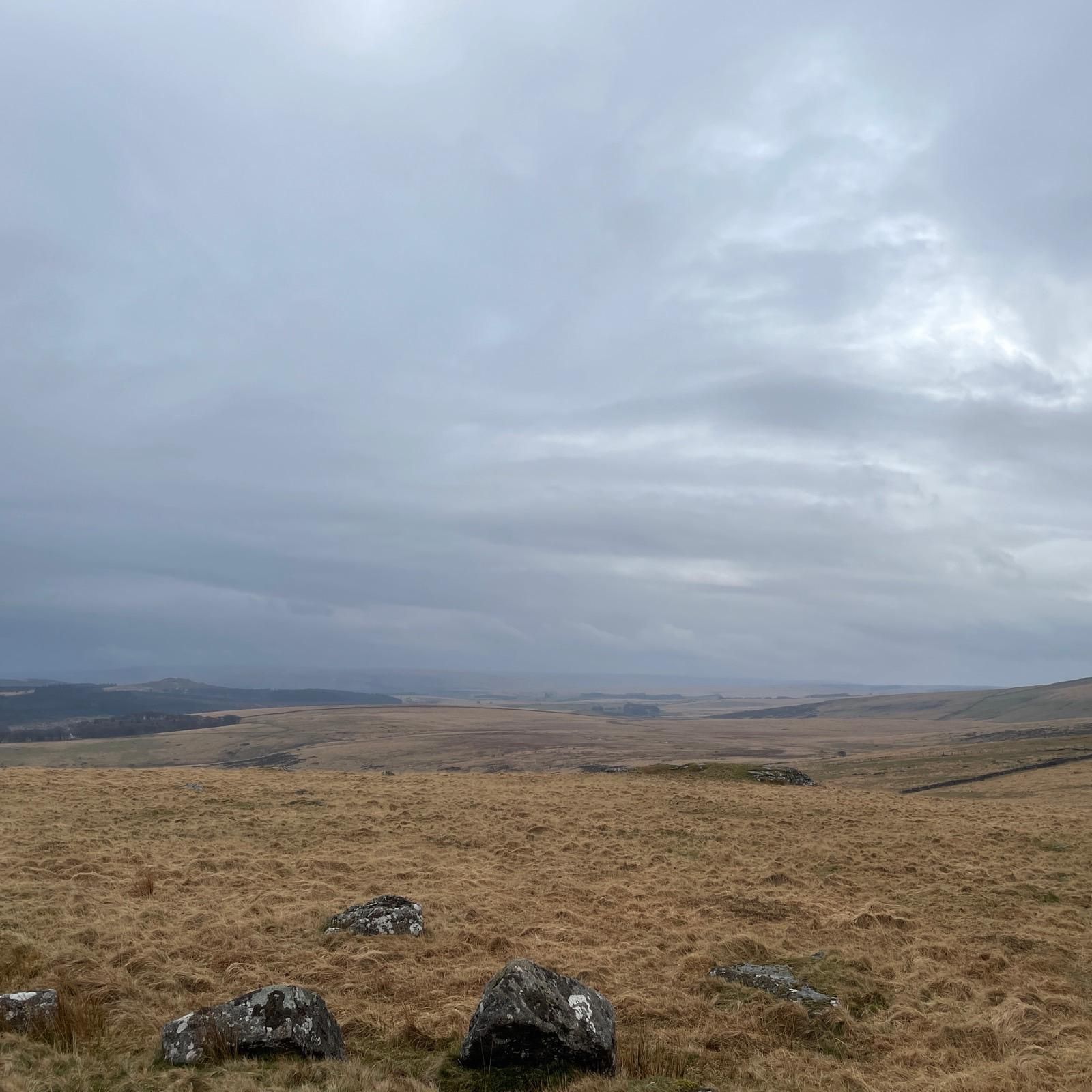 CharLamb | WatchCrunch