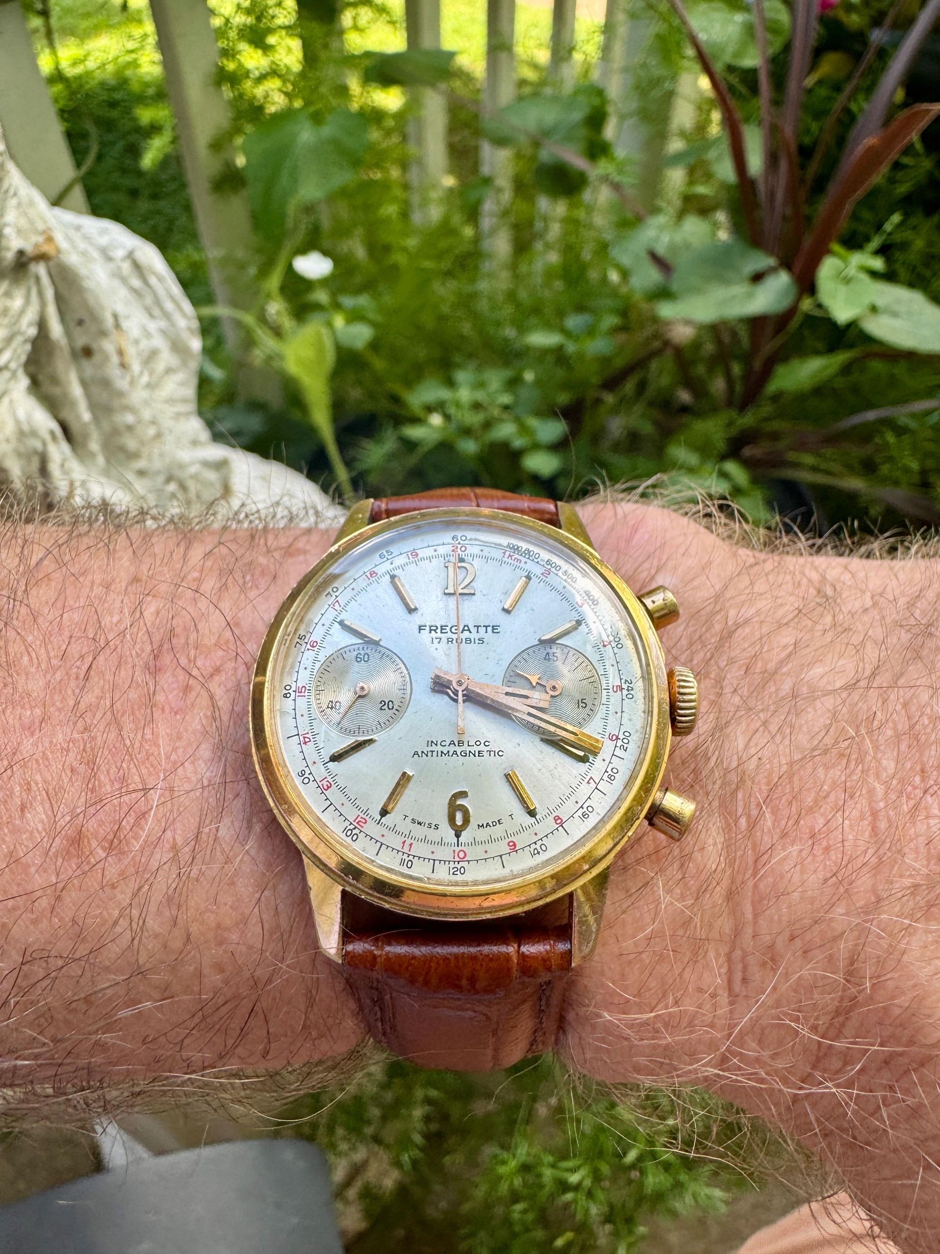 Forgotten Fregatte? | WatchCrunch