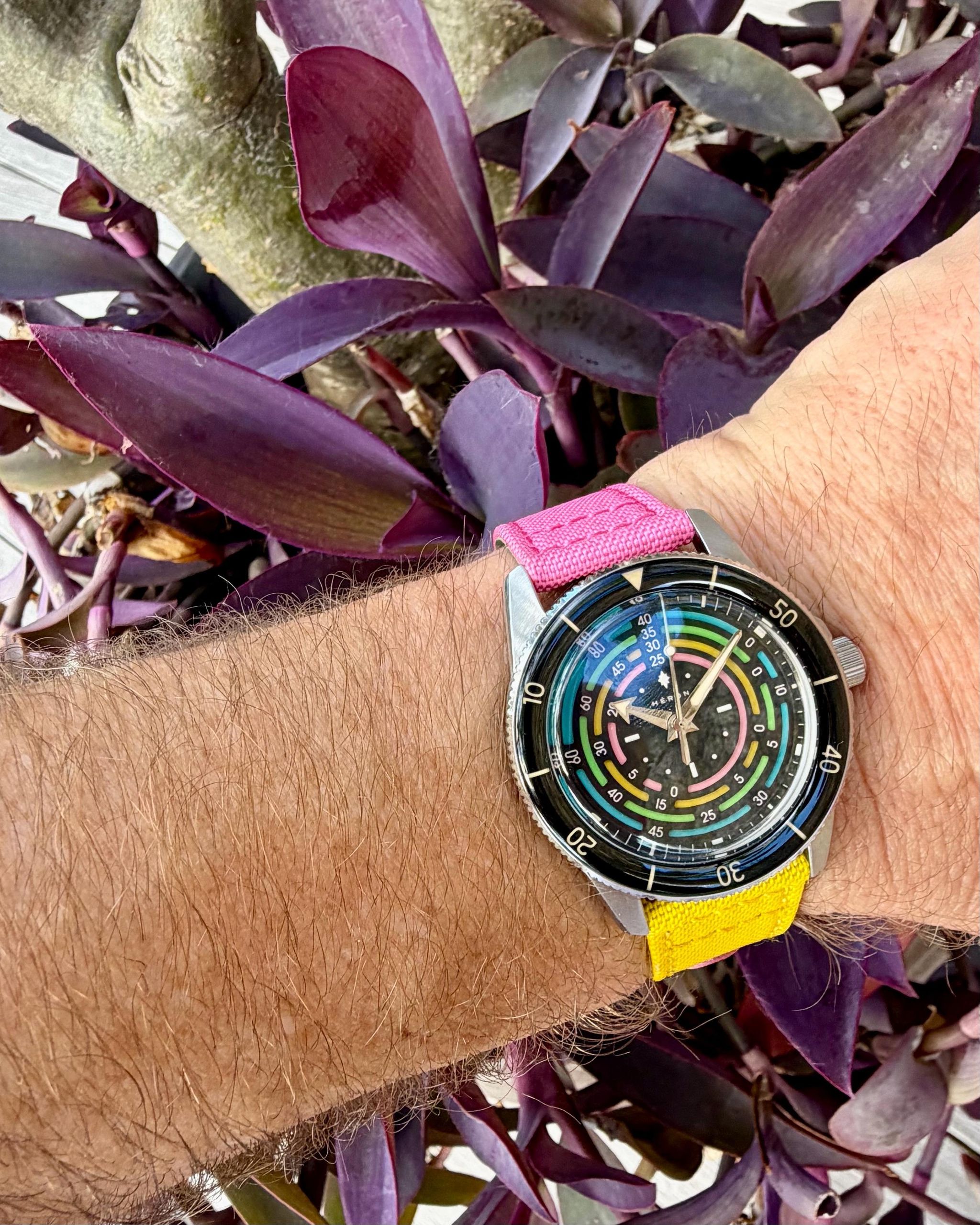 Heron - Marinor Rainbow | WatchCrunch