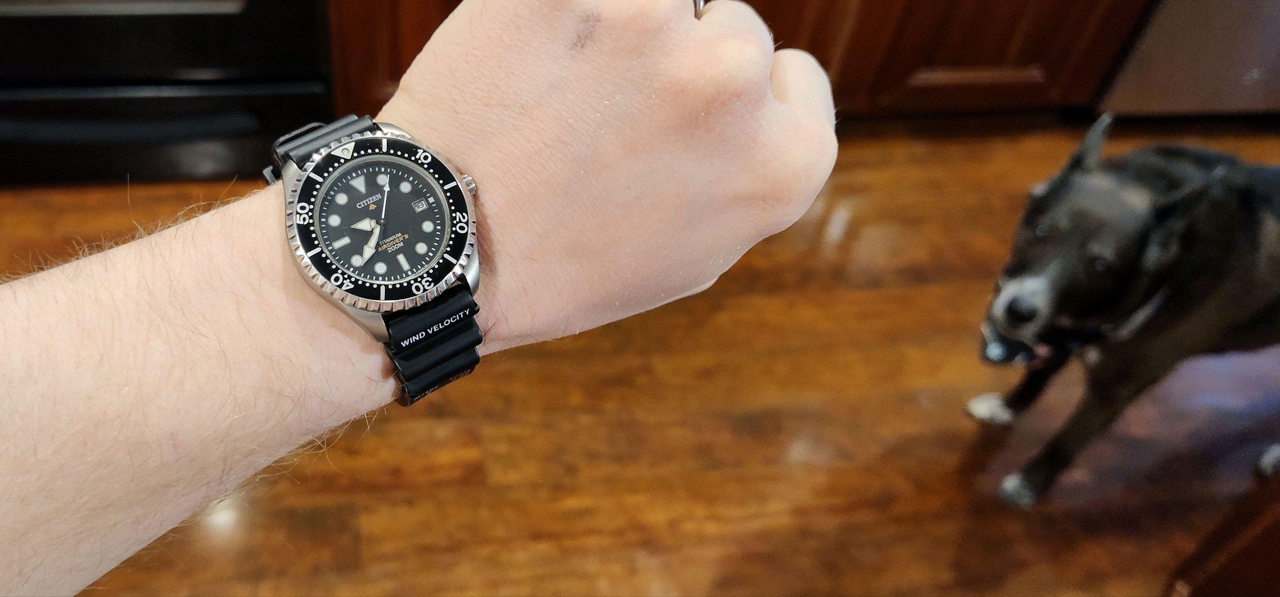 Citizen Promaster Air Diver's Titanium | WatchCrunch