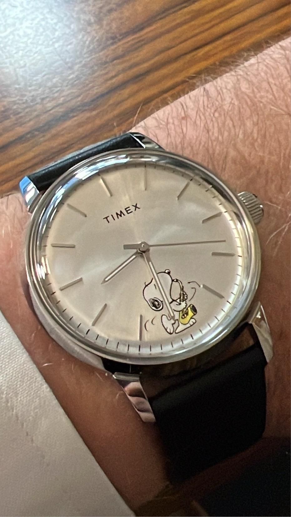 Timex Snoopy | WatchCrunch