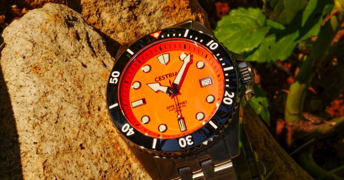 Cestrian Dive Series | WatchCrunch