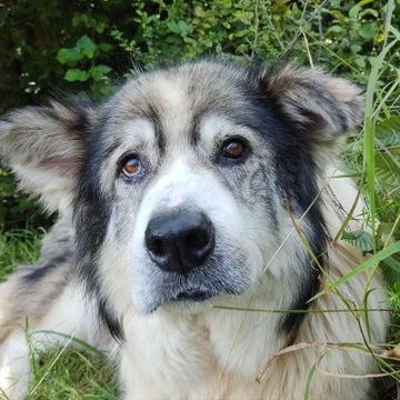 Regend | WatchCrunch