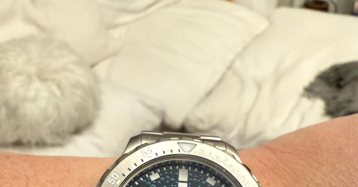 Sinn U16 -20th Anniversary Edition of U1 | WatchCrunch