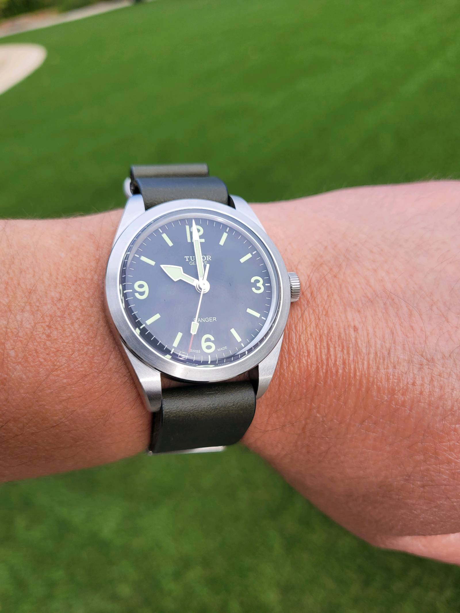 My little Tudor | WatchCrunch