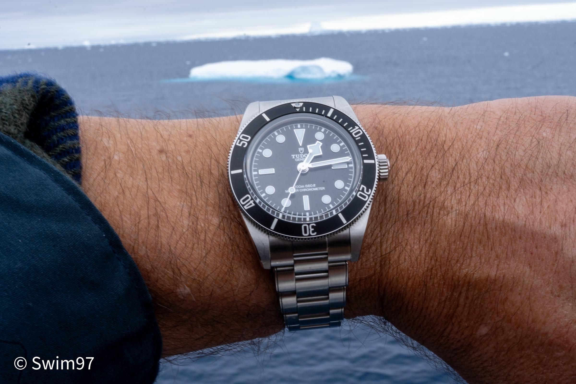Watches & Icebergs | WatchCrunch