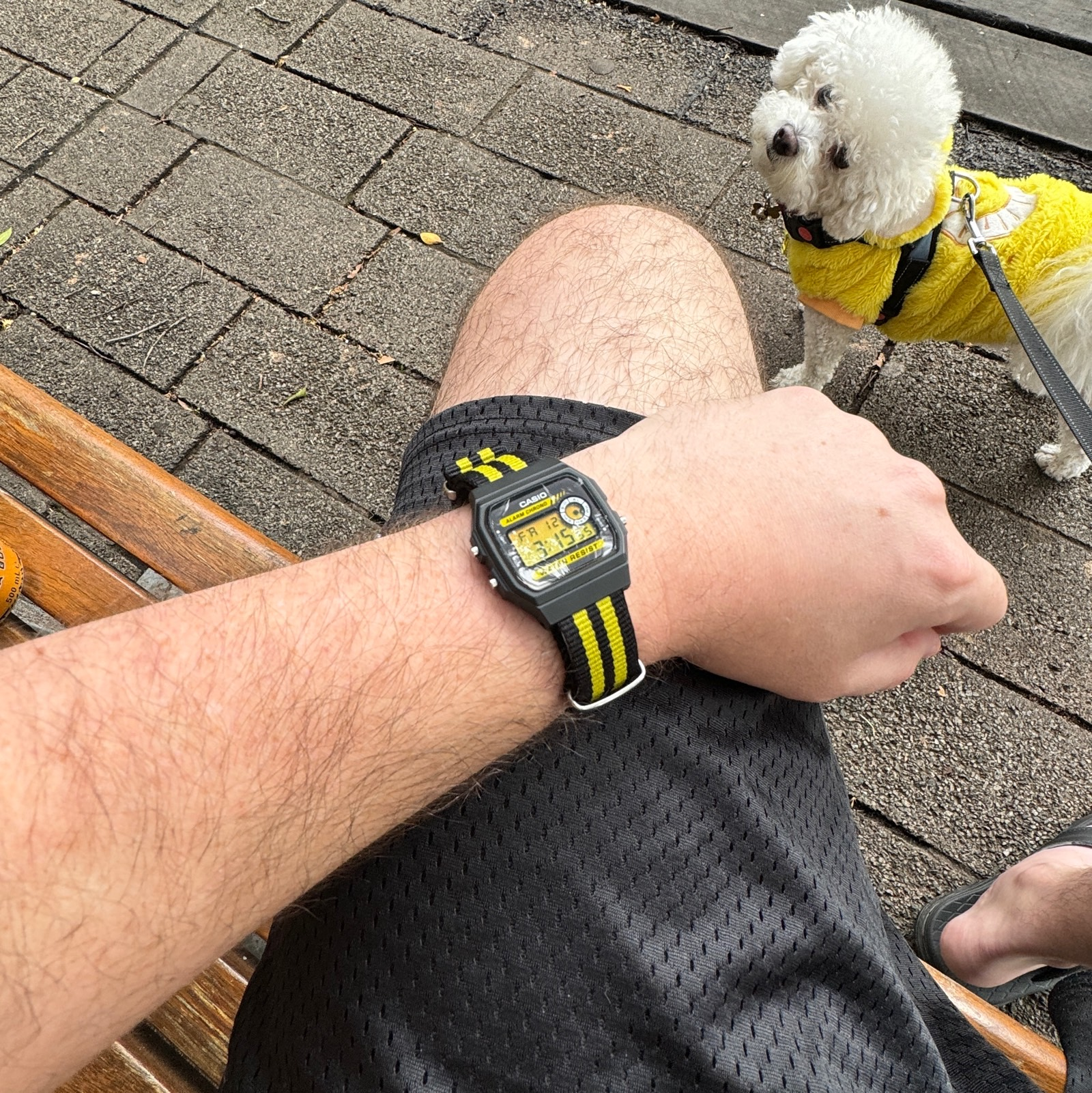 Casio Bumblebee V2 | WatchCrunch