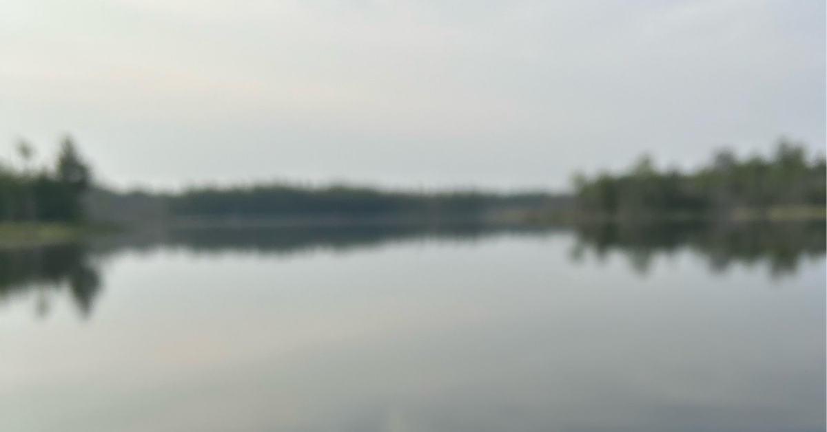 Ball Trainmaster GMT | WatchCrunch