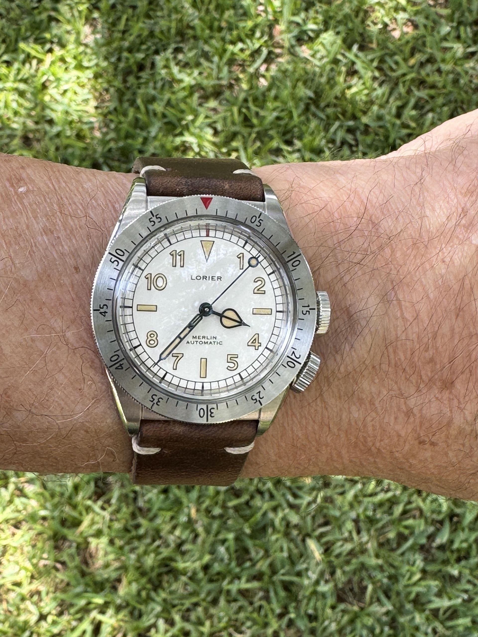 Lorier Merlin has landed | WatchCrunch