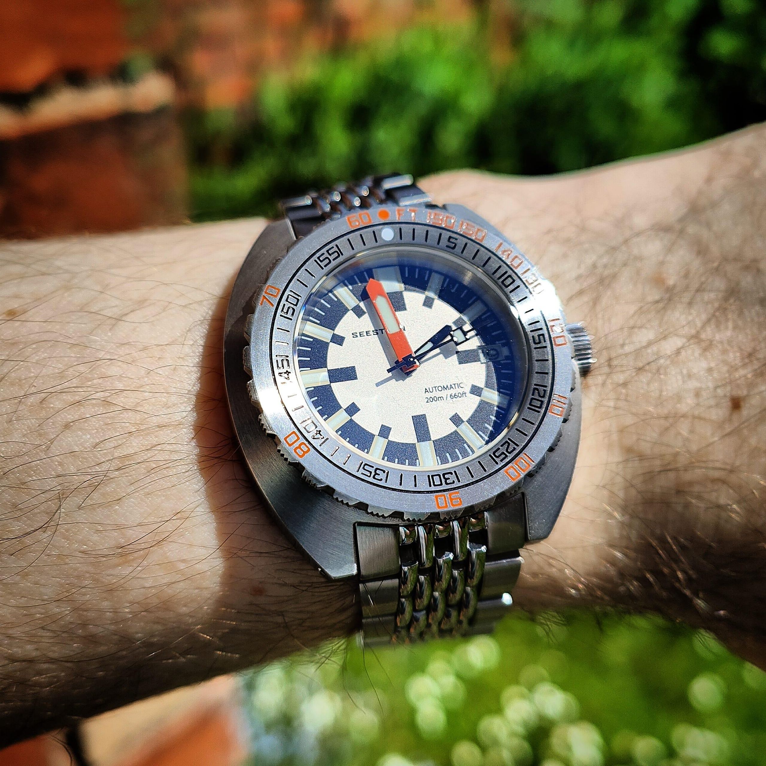 Seestern V3 Doxa Homage | WatchCrunch