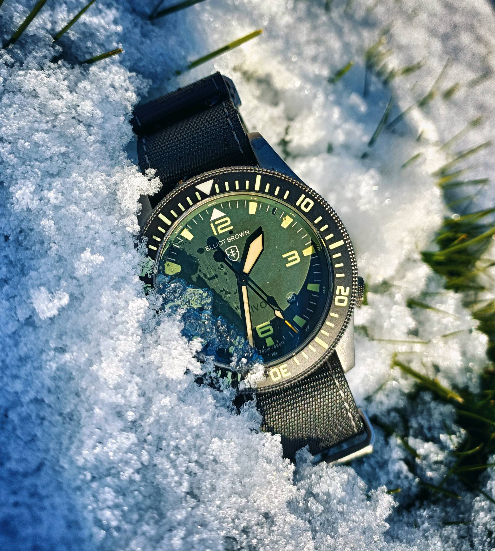 Wristcheck November 20, 2024 | WatchCrunch