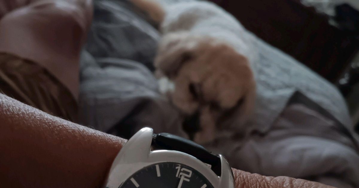 Wristcheck August 4, 2025 | WatchCrunch