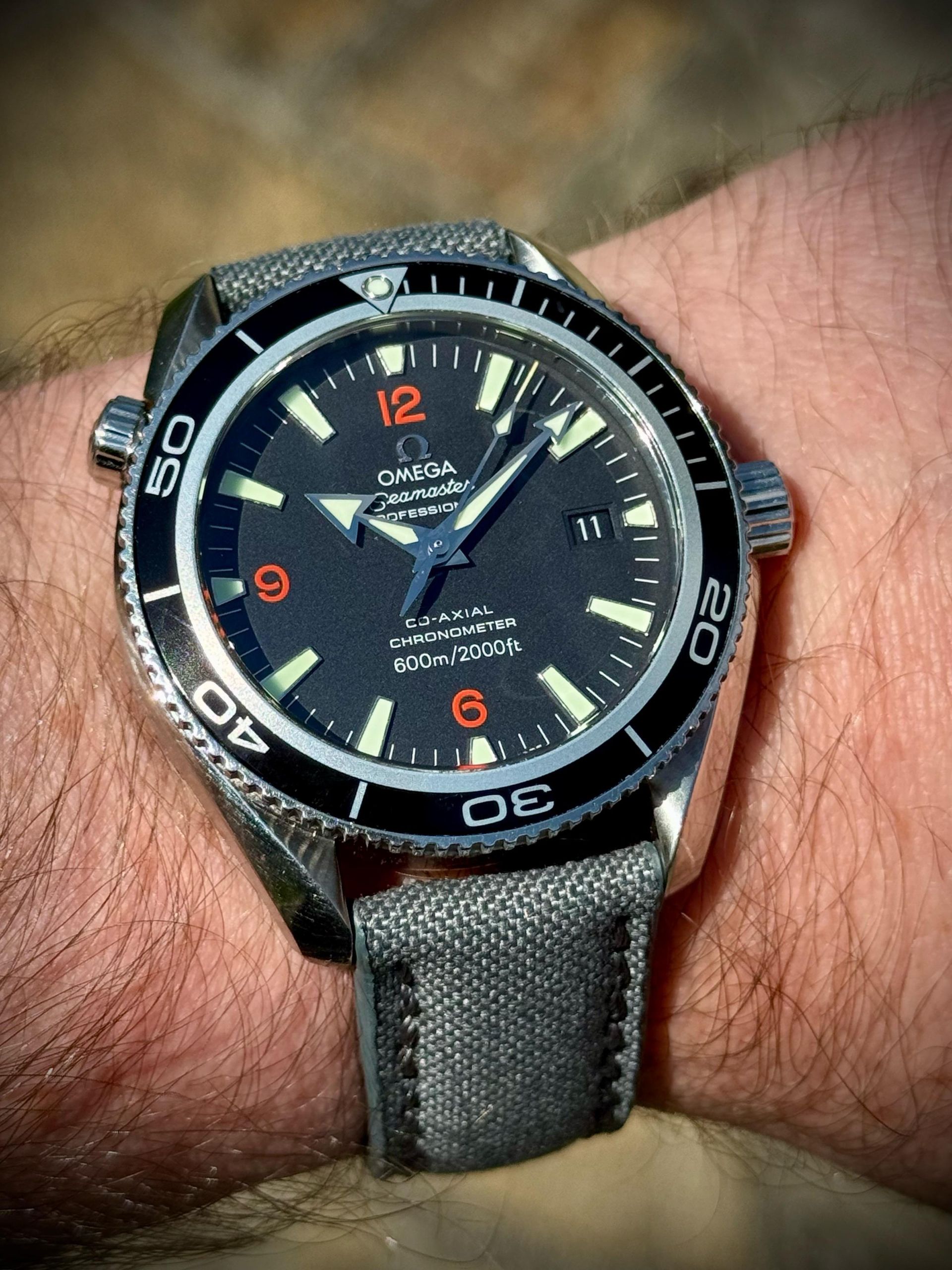 Omega Seamaster Planet Ocean (2007) | WatchCrunch