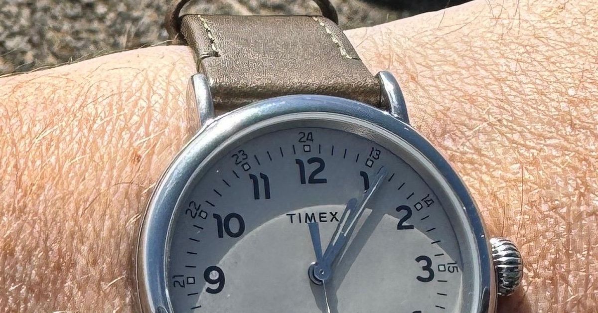 Timex Standard Quartz | WatchCrunch