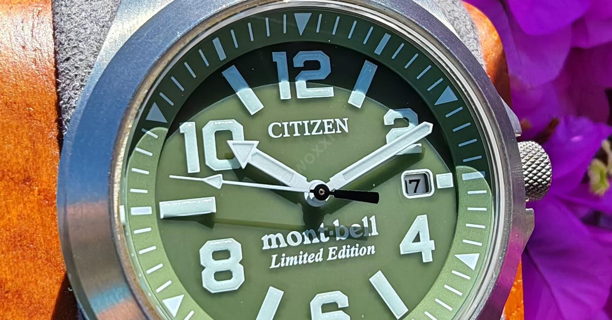 Citizen Promaster Montbell Bn0121 18x Watchcrunch
