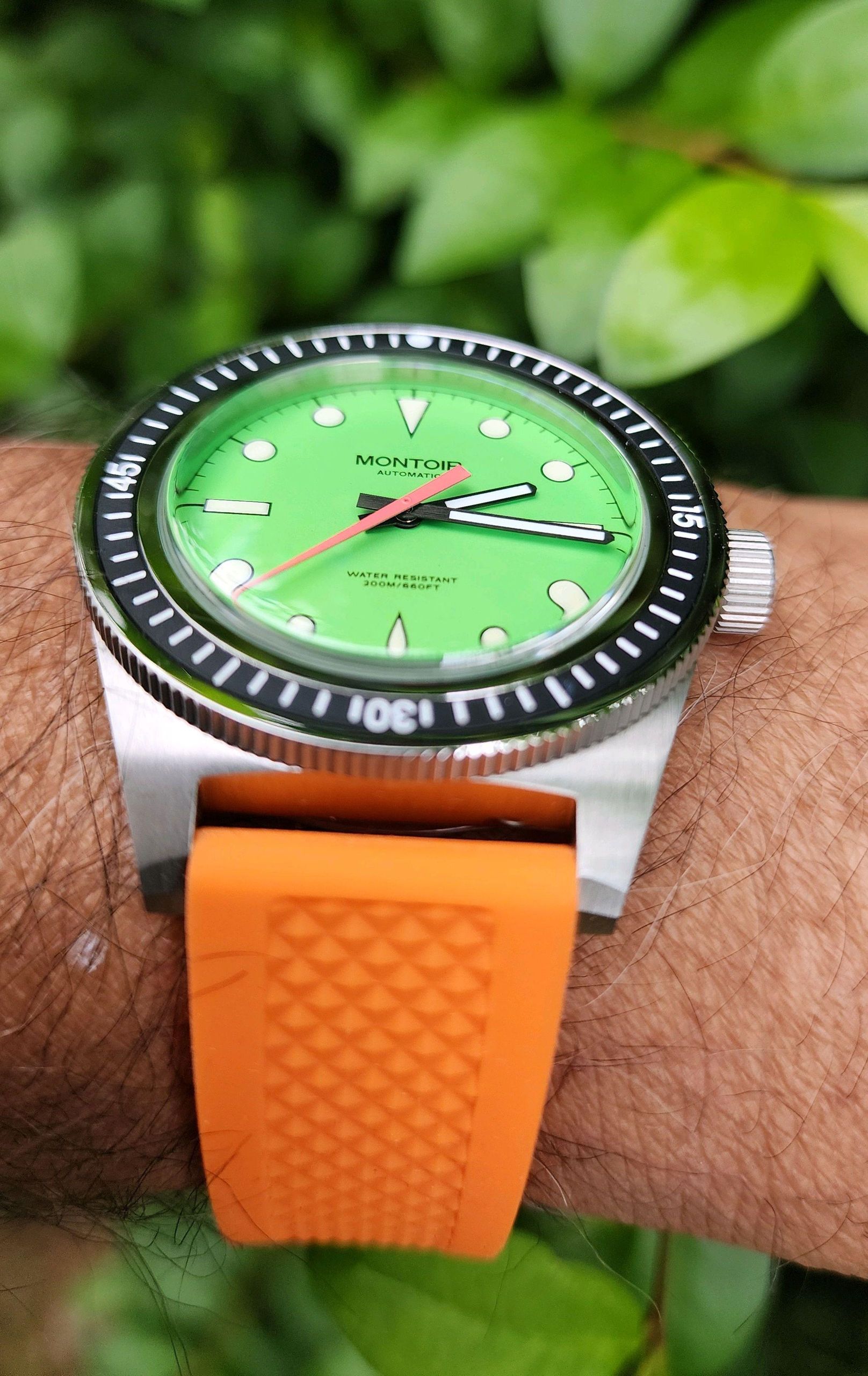 WATERMELON | WatchCrunch
